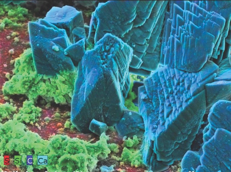 Membrane Autopsy with CEI℠ - Avista™