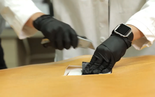 Membrane Autopsy with CEI℠ - Avista™