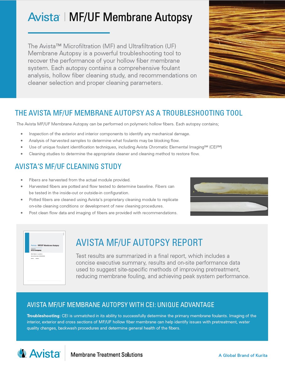 Membrane Autopsy with CEI℠ - Avista™