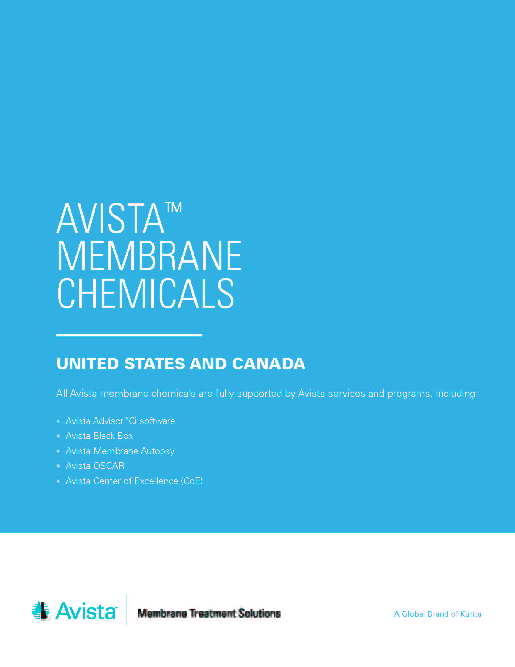 Maximize RO Performance with Vitec™ Antiscalant | Avista™